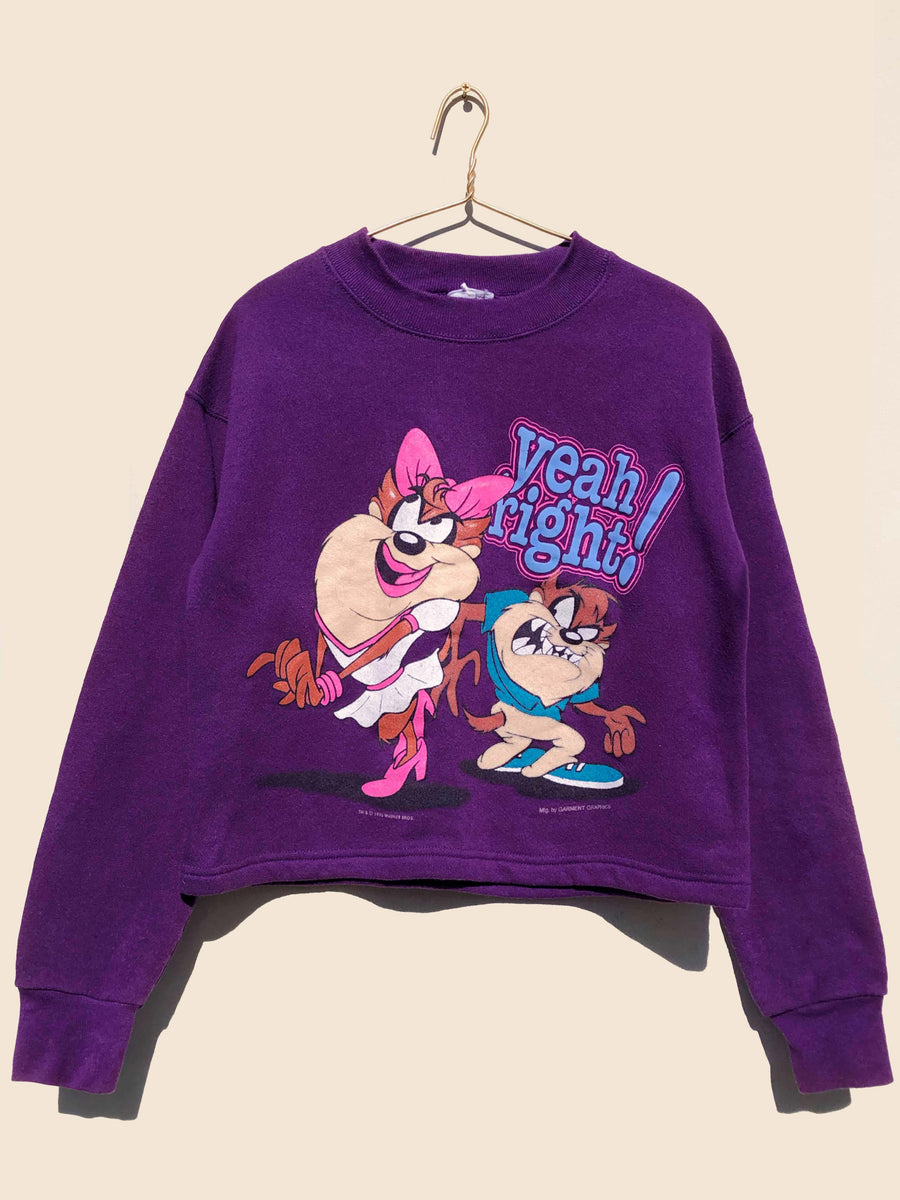 90's Looney Tunes Taz Sweater Purple (S) – Chop Suey Official